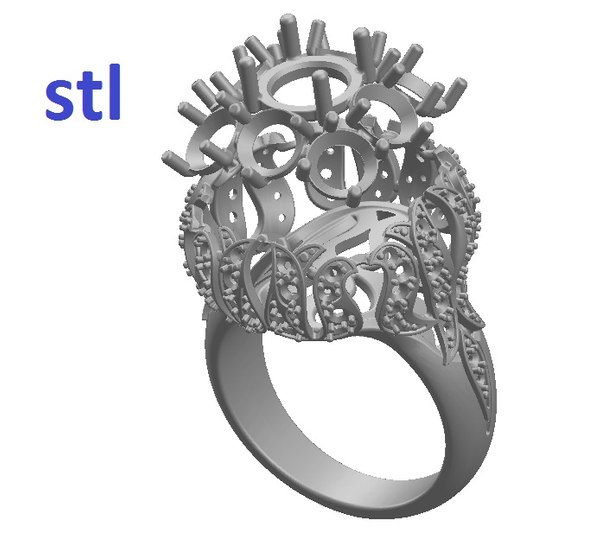 3d ring model