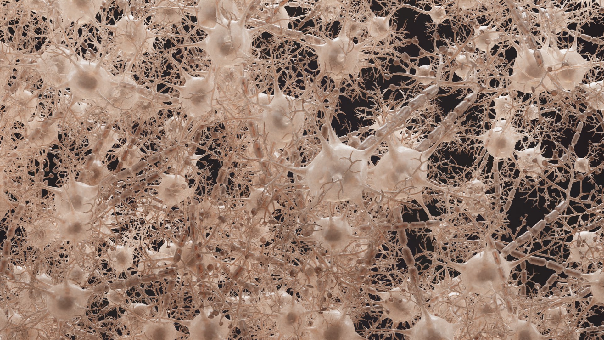 3D Neural Network 3 - TurboSquid 1770192