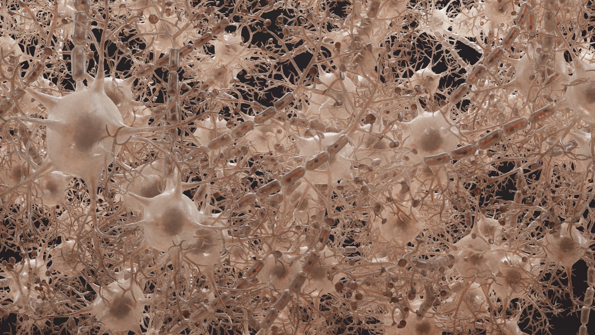 3D Neural Network 3 - TurboSquid 1770192