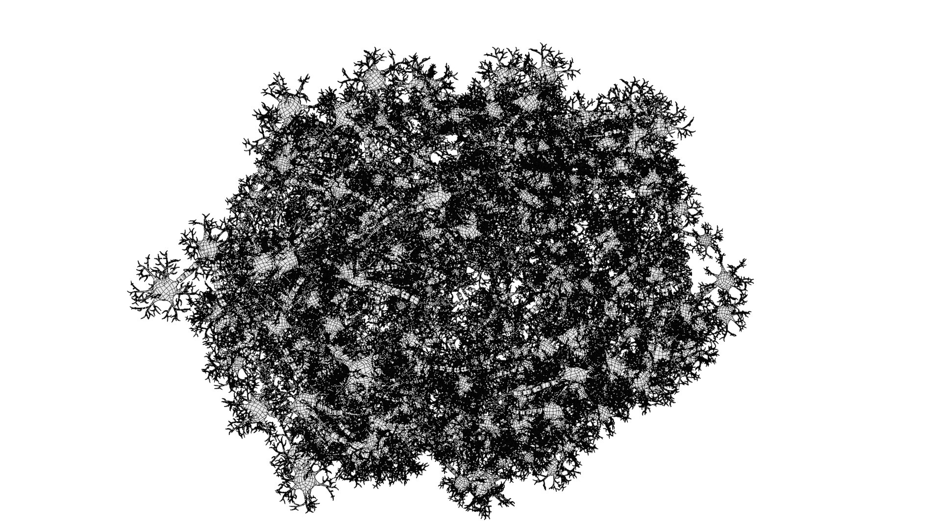 3D Neural Network 3 - TurboSquid 1770192