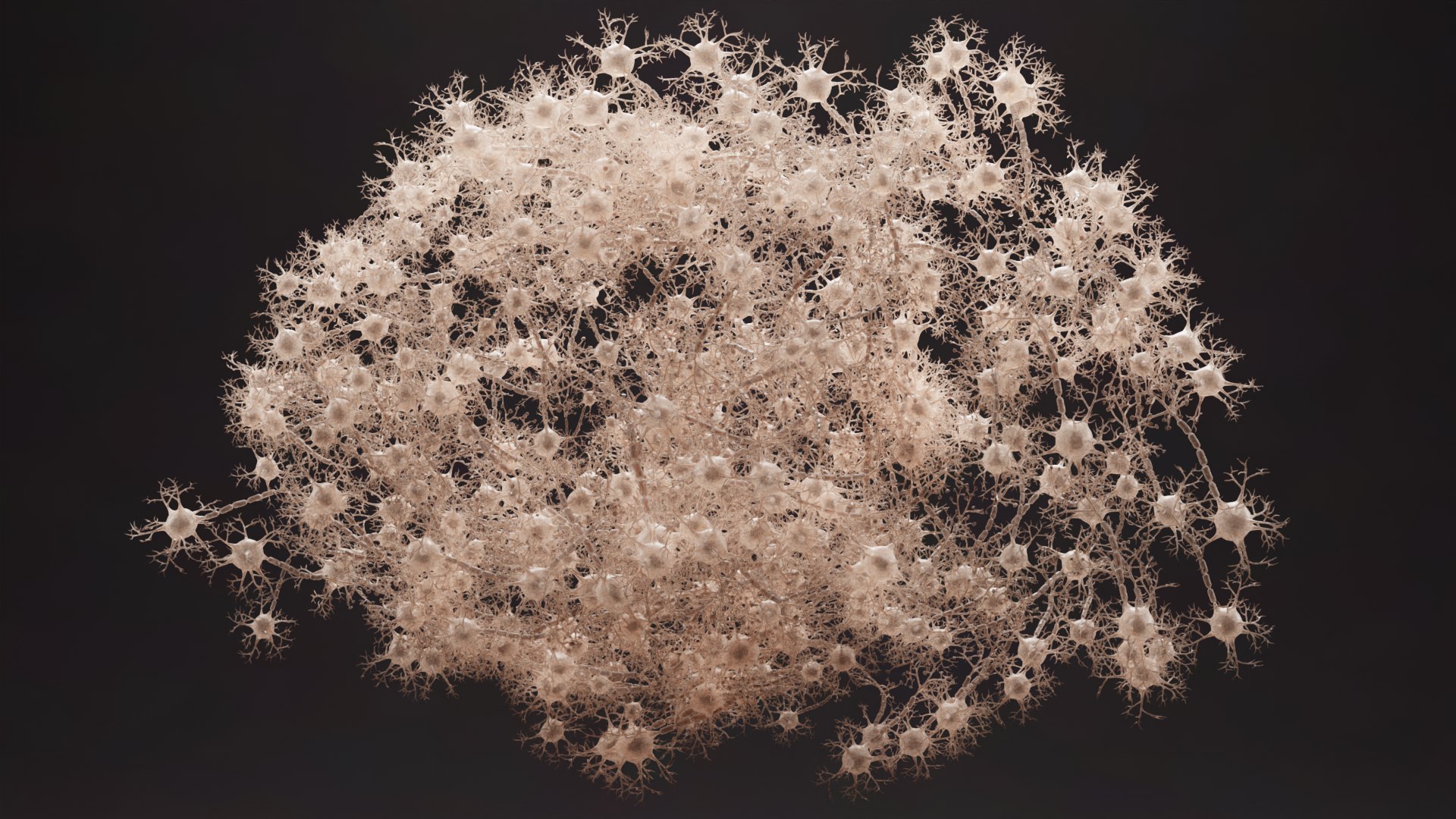 3D Neural Network 3 - TurboSquid 1770192