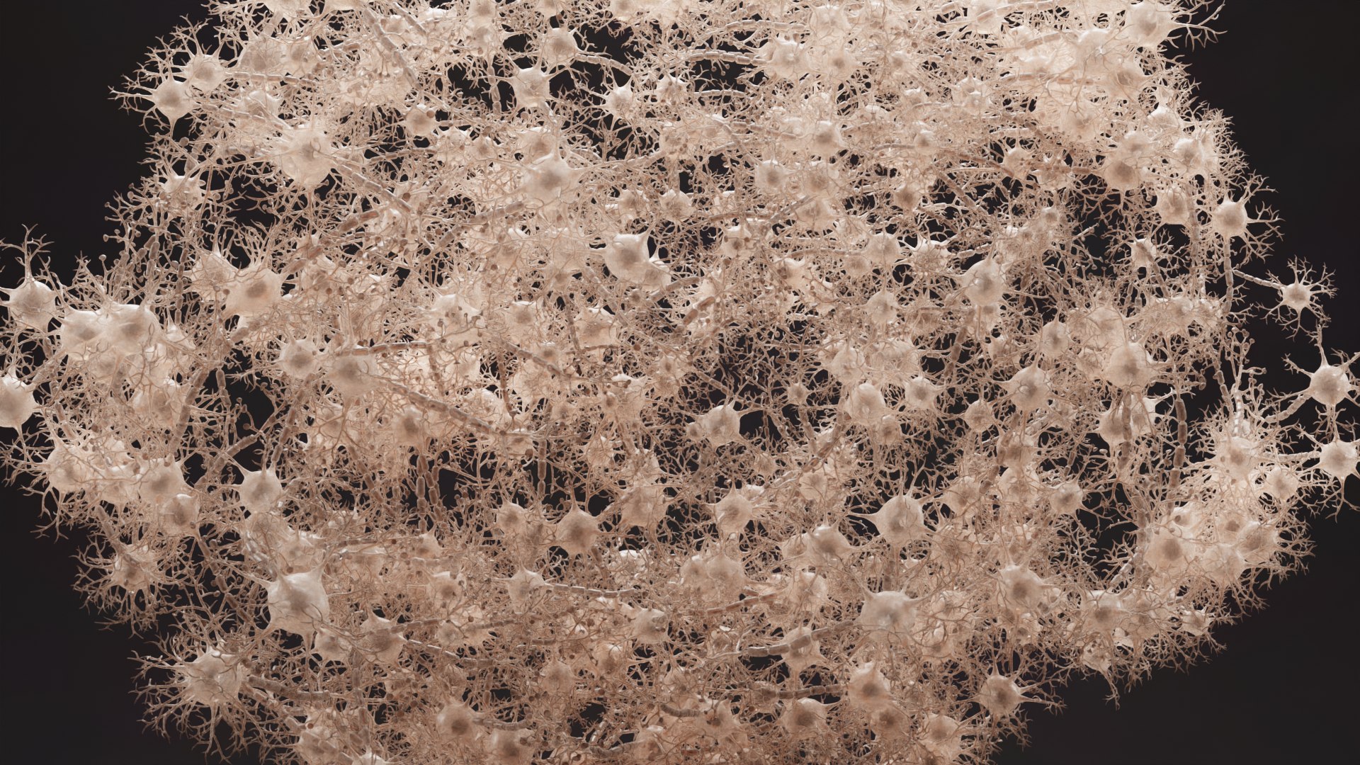 3D Neural Network 3 - TurboSquid 1770192