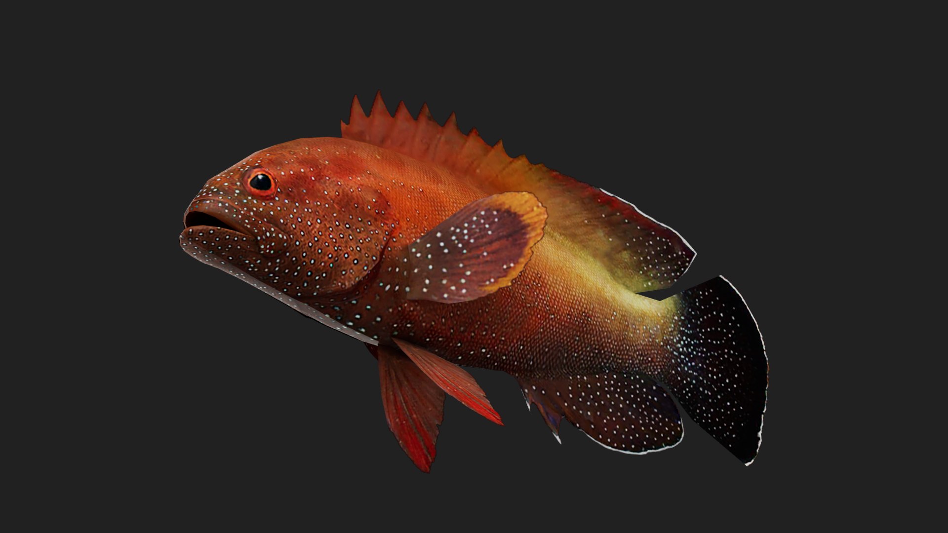 Bass Fish 3D Model - TurboSquid 2123222