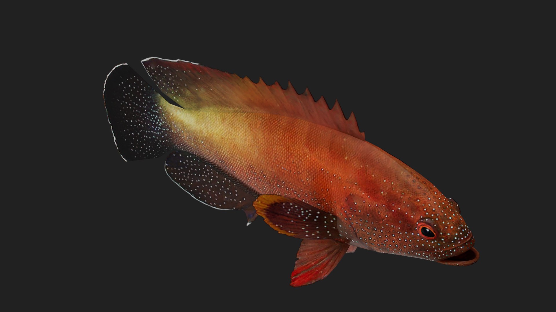 Bass Fish 3D Model - TurboSquid 2123222