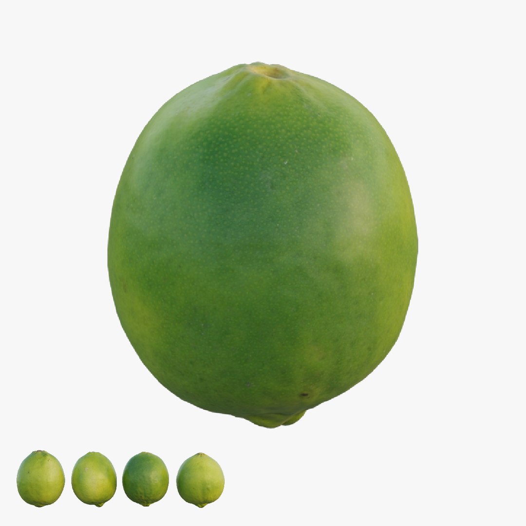 Persian Lime 3D Model - TurboSquid 1915432