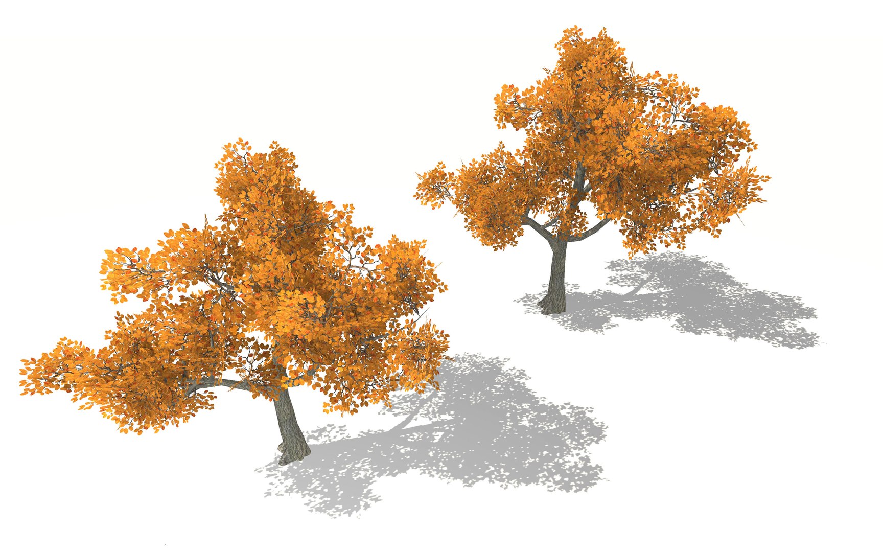 3D Autumn Tree Forest Model - TurboSquid 1516253