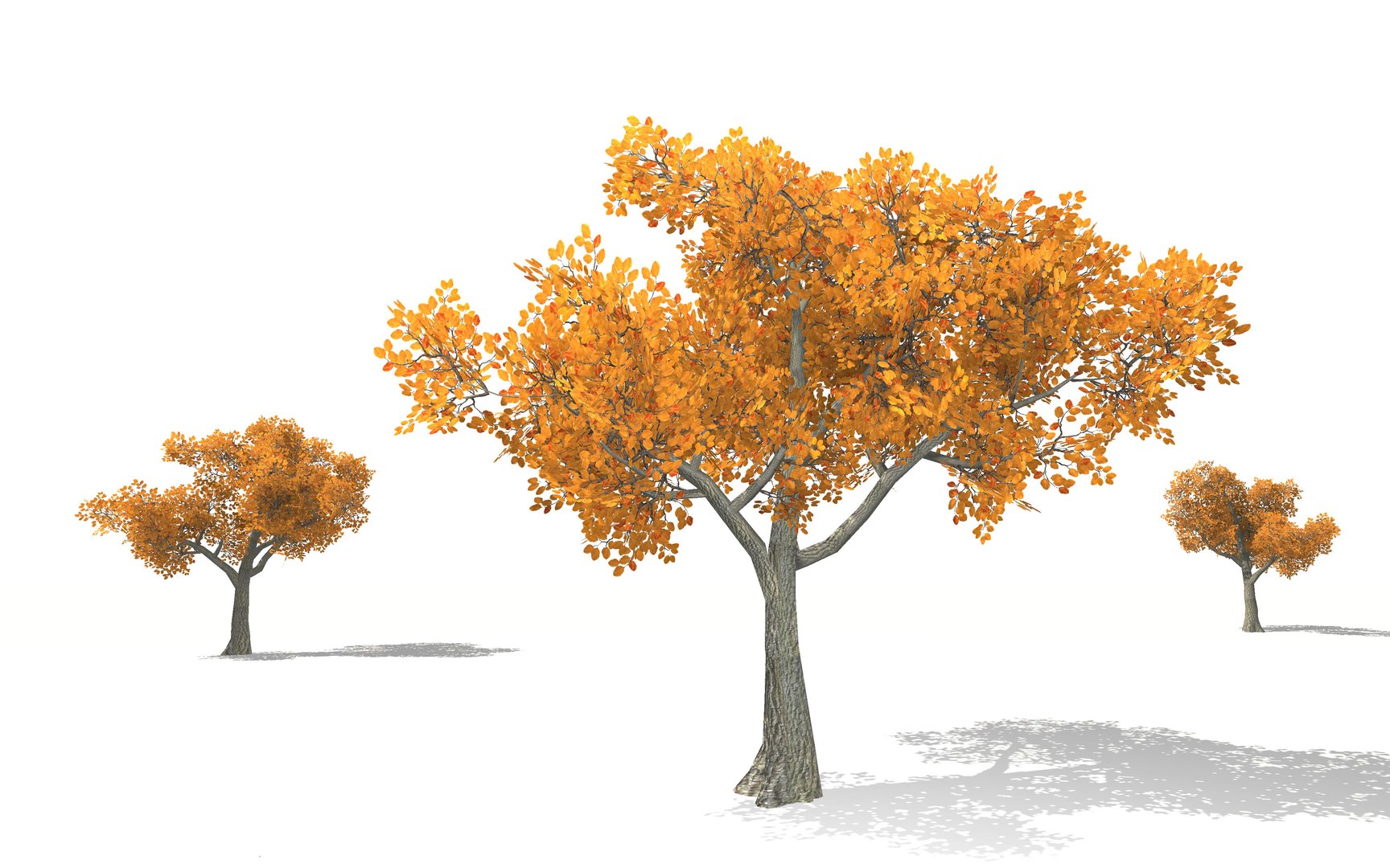 3D Autumn Tree Forest Model - TurboSquid 1516253
