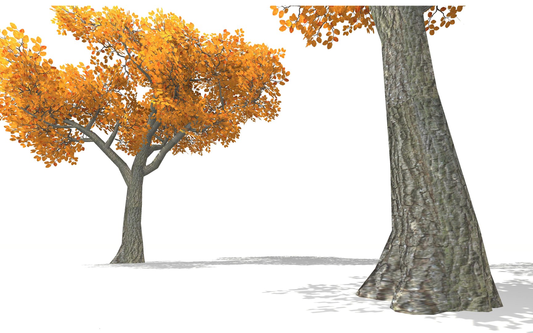3D Autumn Tree Forest Model - TurboSquid 1516253