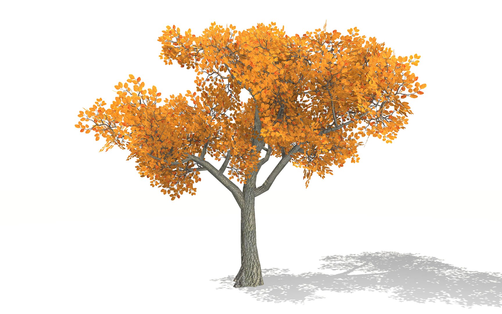 3D Autumn Tree Forest Model - TurboSquid 1516253