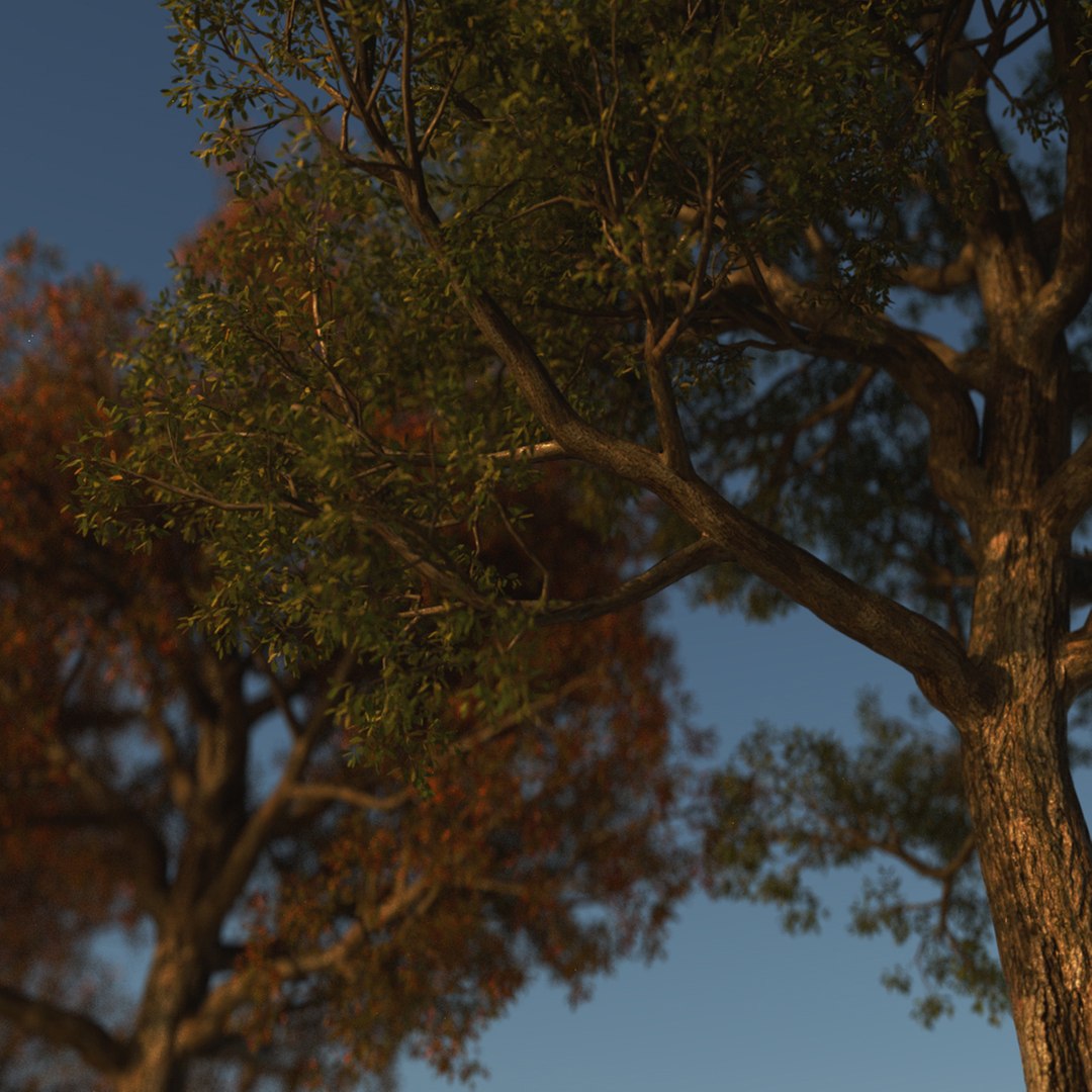 3D Set Seasons Animation Trees - TurboSquid 1699704