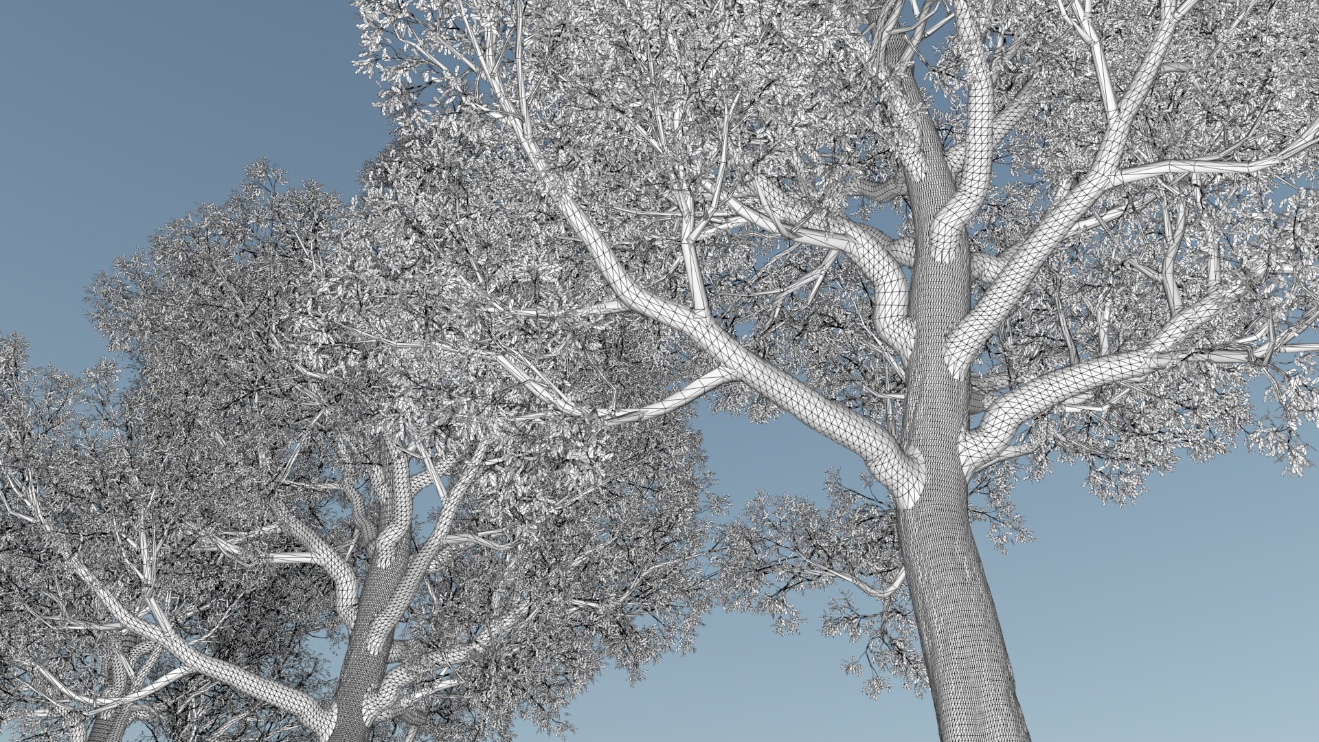 3D Set Seasons Animation Trees - TurboSquid 1699704
