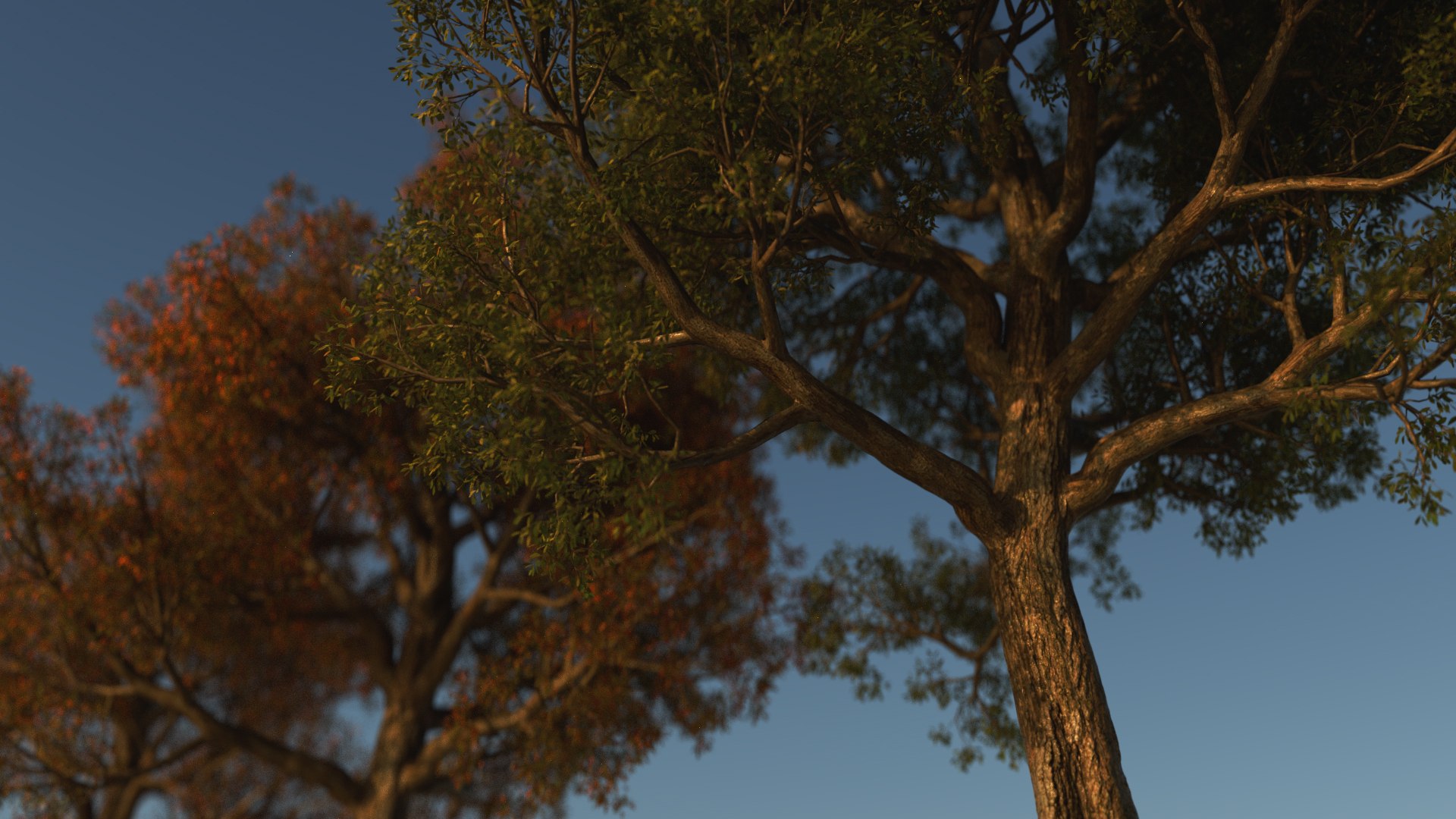 3D Set Seasons Animation Trees - TurboSquid 1699704