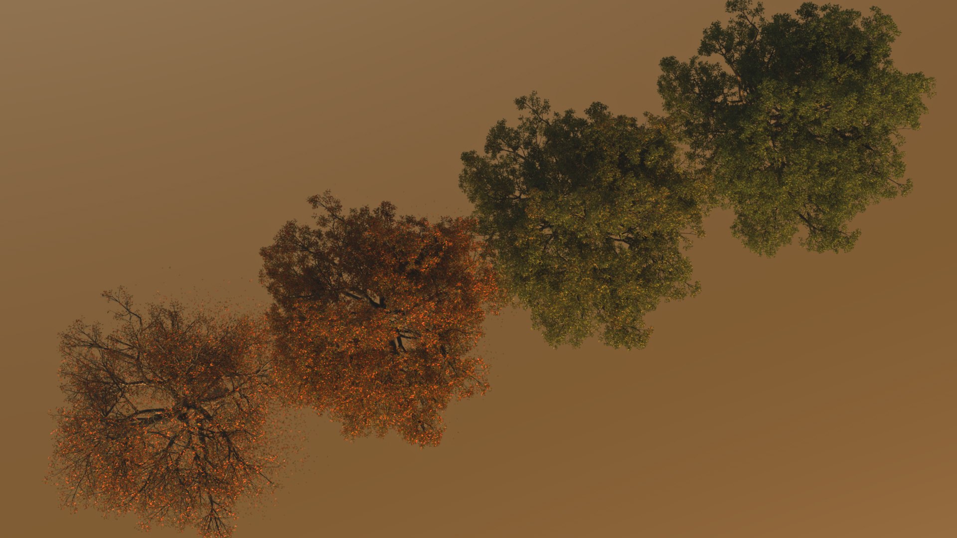 3D Set Seasons Animation Trees - TurboSquid 1699704