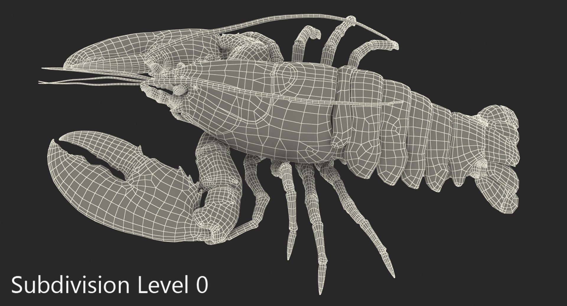 3d model lobster pose 2 fur