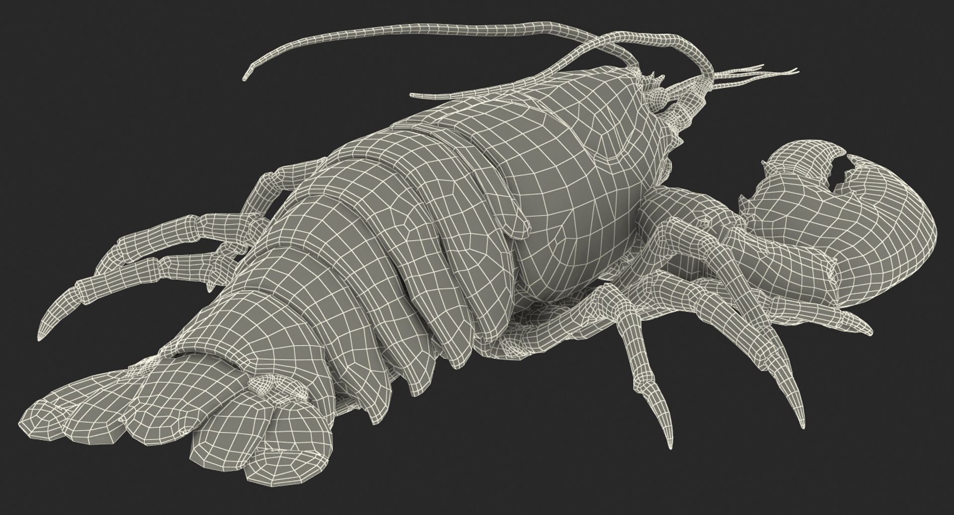 3d model lobster pose 2 fur