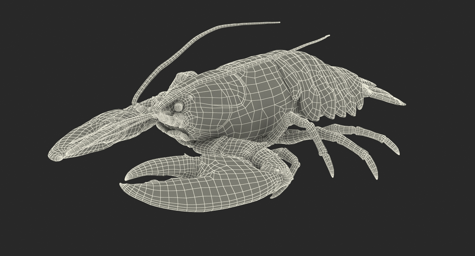 3d Model Lobster Pose 2 Fur