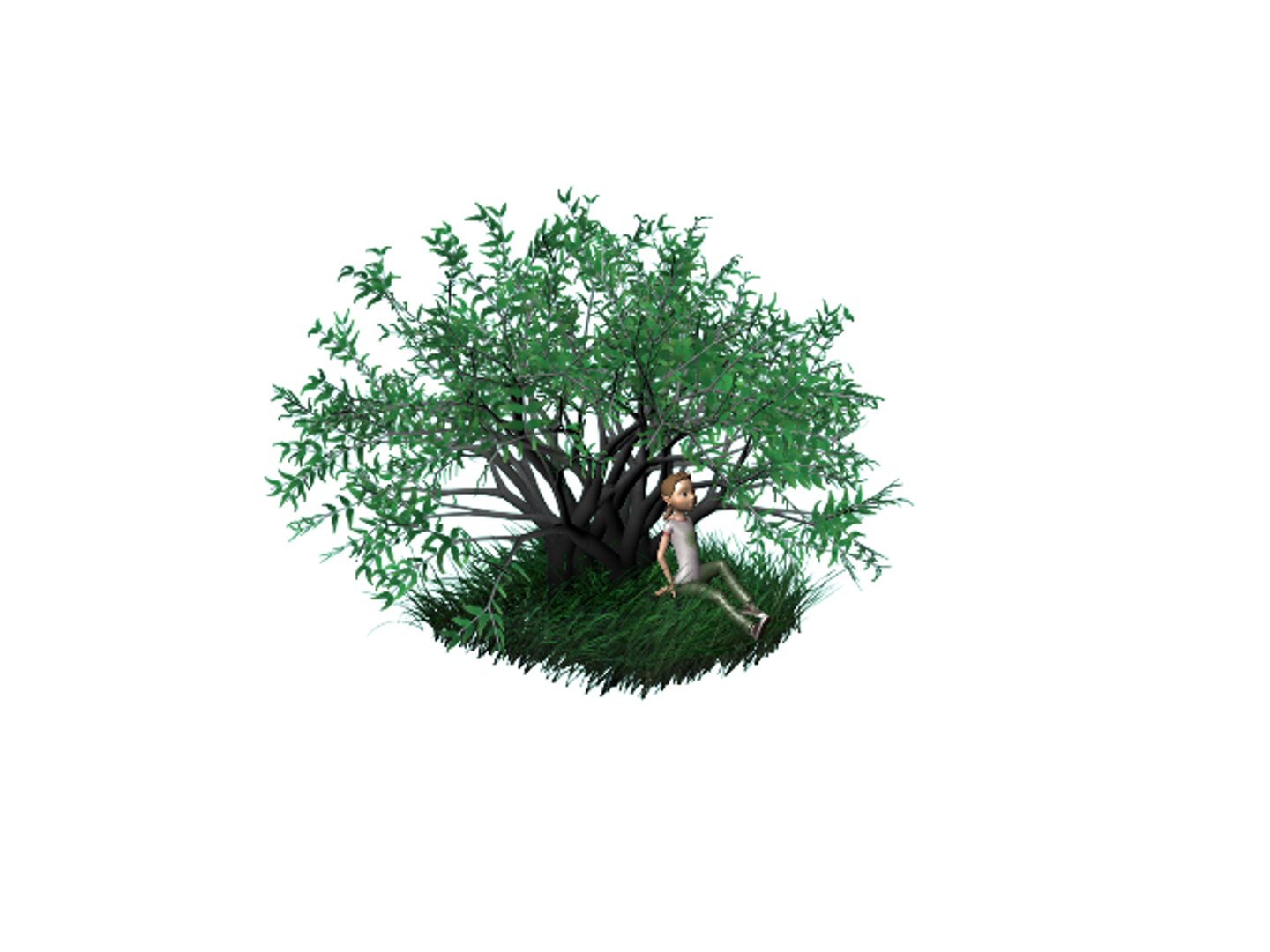 Free Tree 3d Model