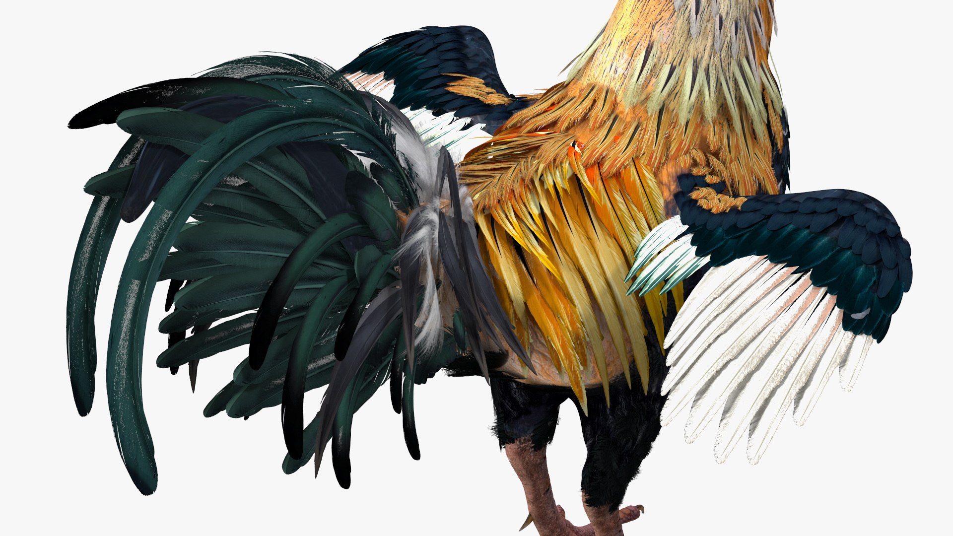 Rainbow Rooster Rigged 3D model - TurboSquid 2162308