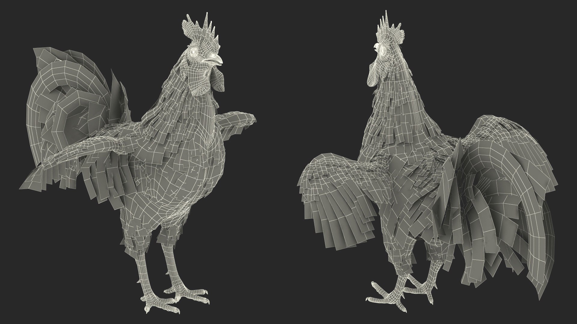 Rainbow Rooster Rigged 3D model - TurboSquid 2162308