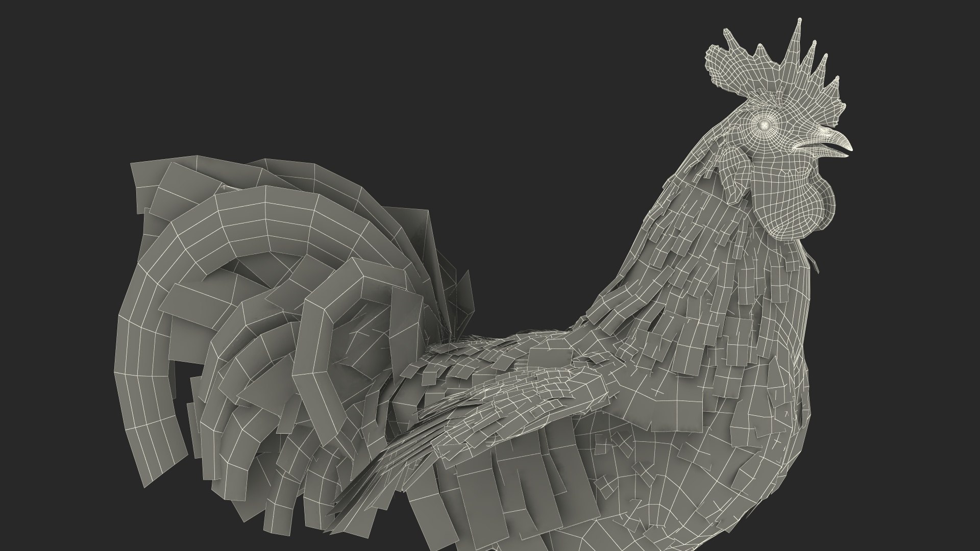 Rainbow Rooster Rigged 3D model - TurboSquid 2162308