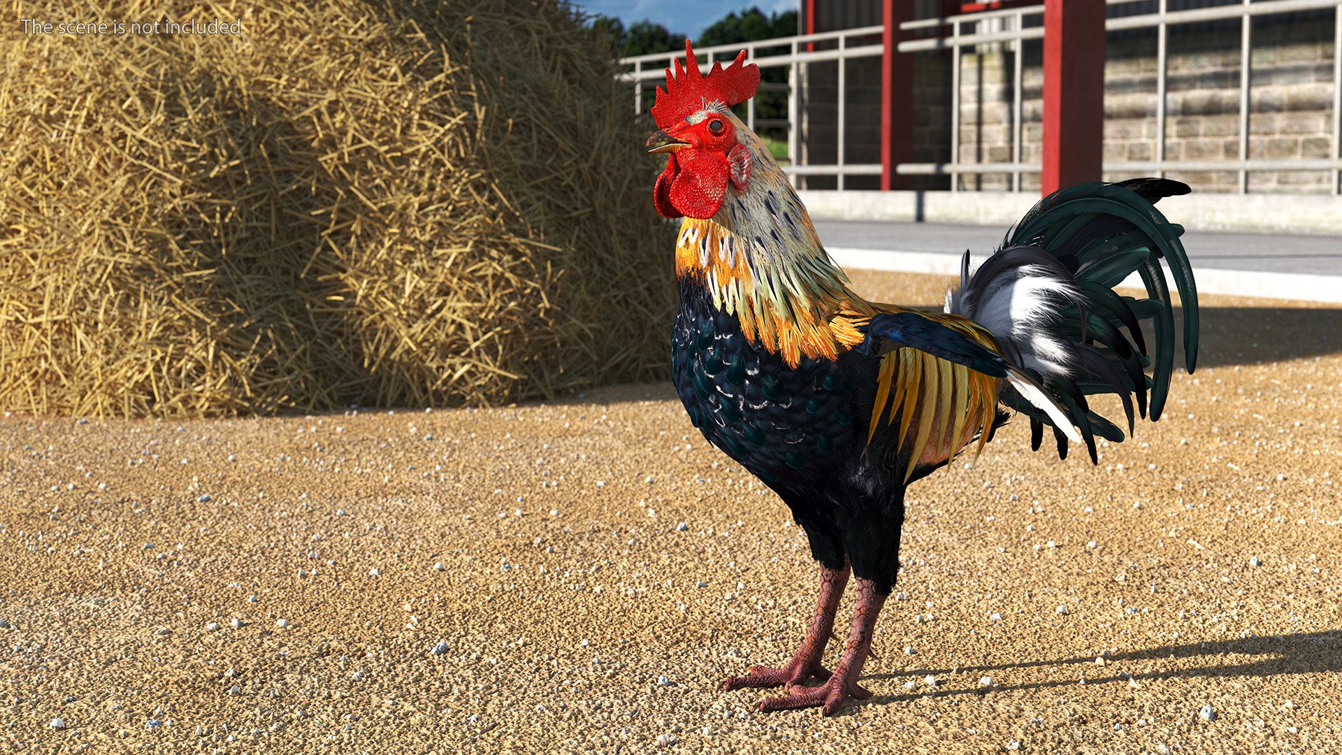 Rainbow Rooster Rigged 3D Model - TurboSquid 2162308