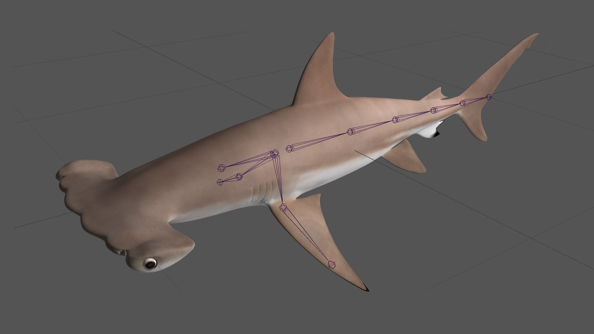 3d Hammerhead Shark Hammer