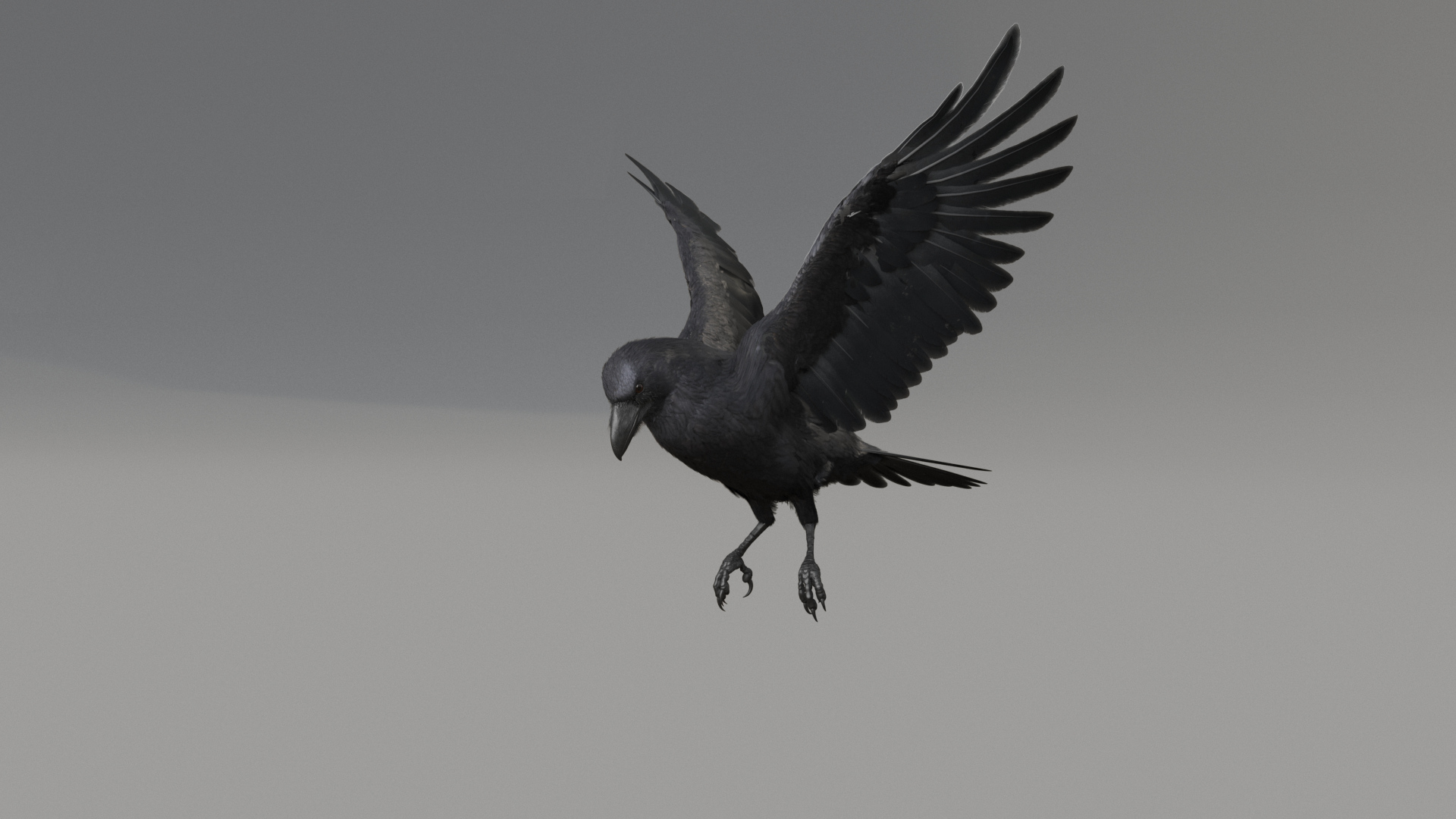 Raven Animated 3D Model - TurboSquid 1830681