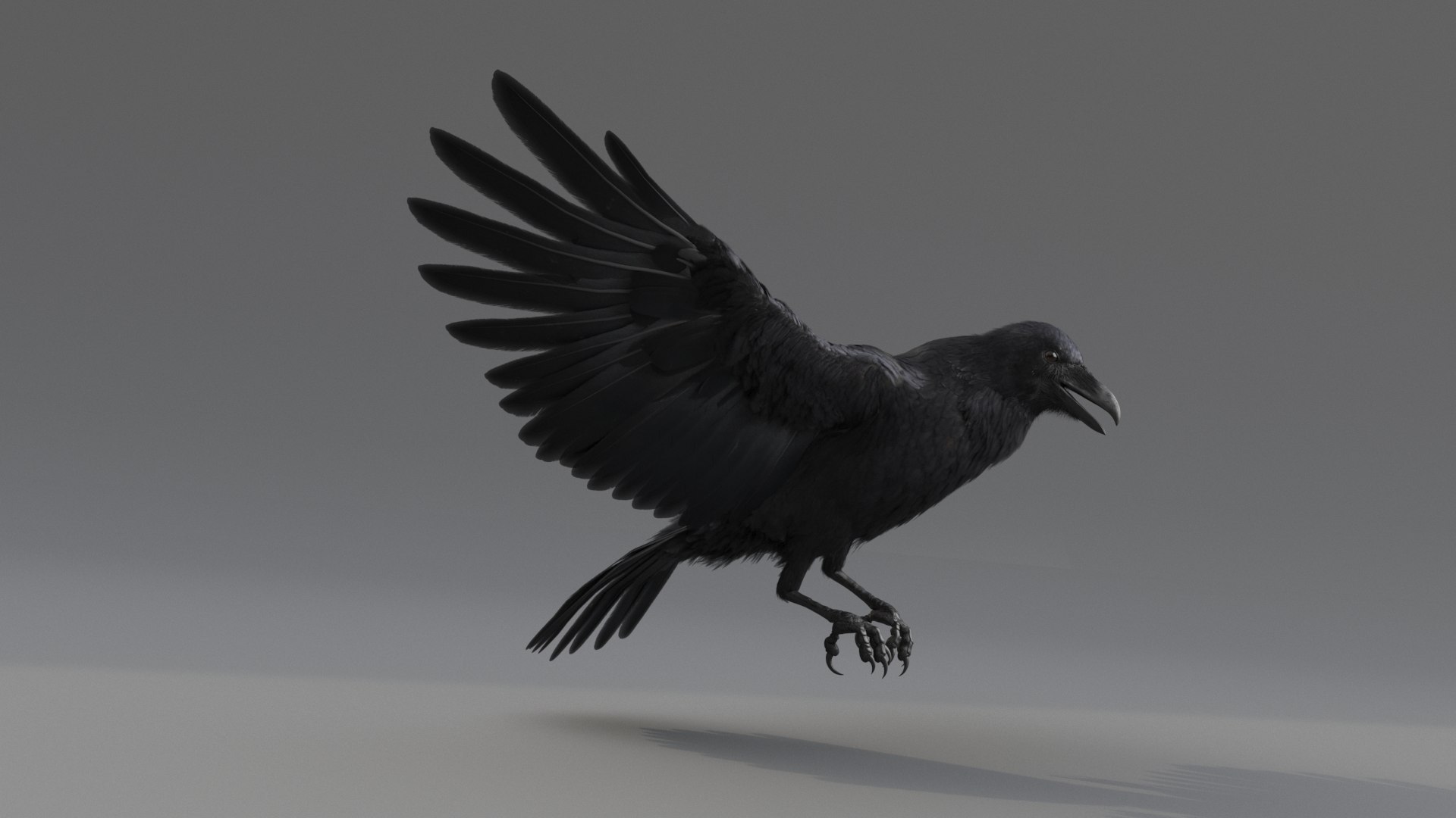 Raven Animated 3D Model - TurboSquid 1830681