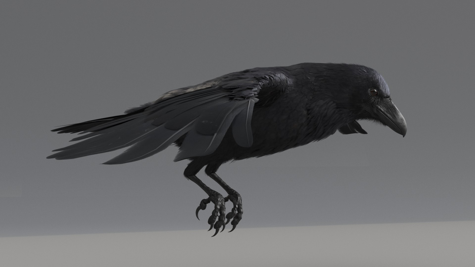 Raven Animated 3D Model - TurboSquid 1830681