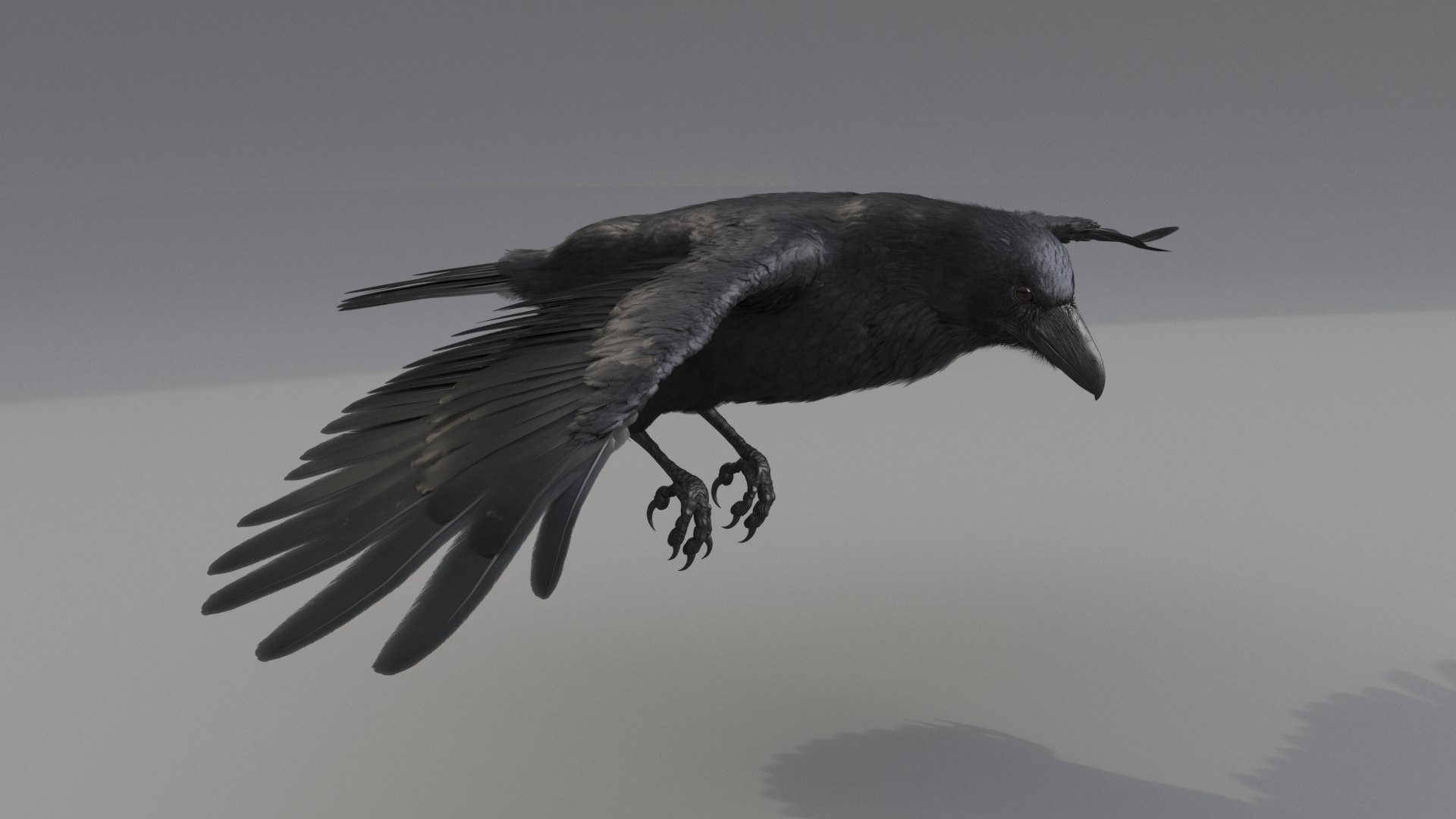 Raven Animated 3D Model - TurboSquid 1830681