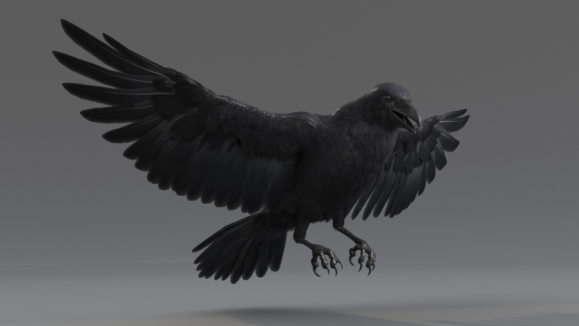Raven Animated 3D Model - TurboSquid 1830681