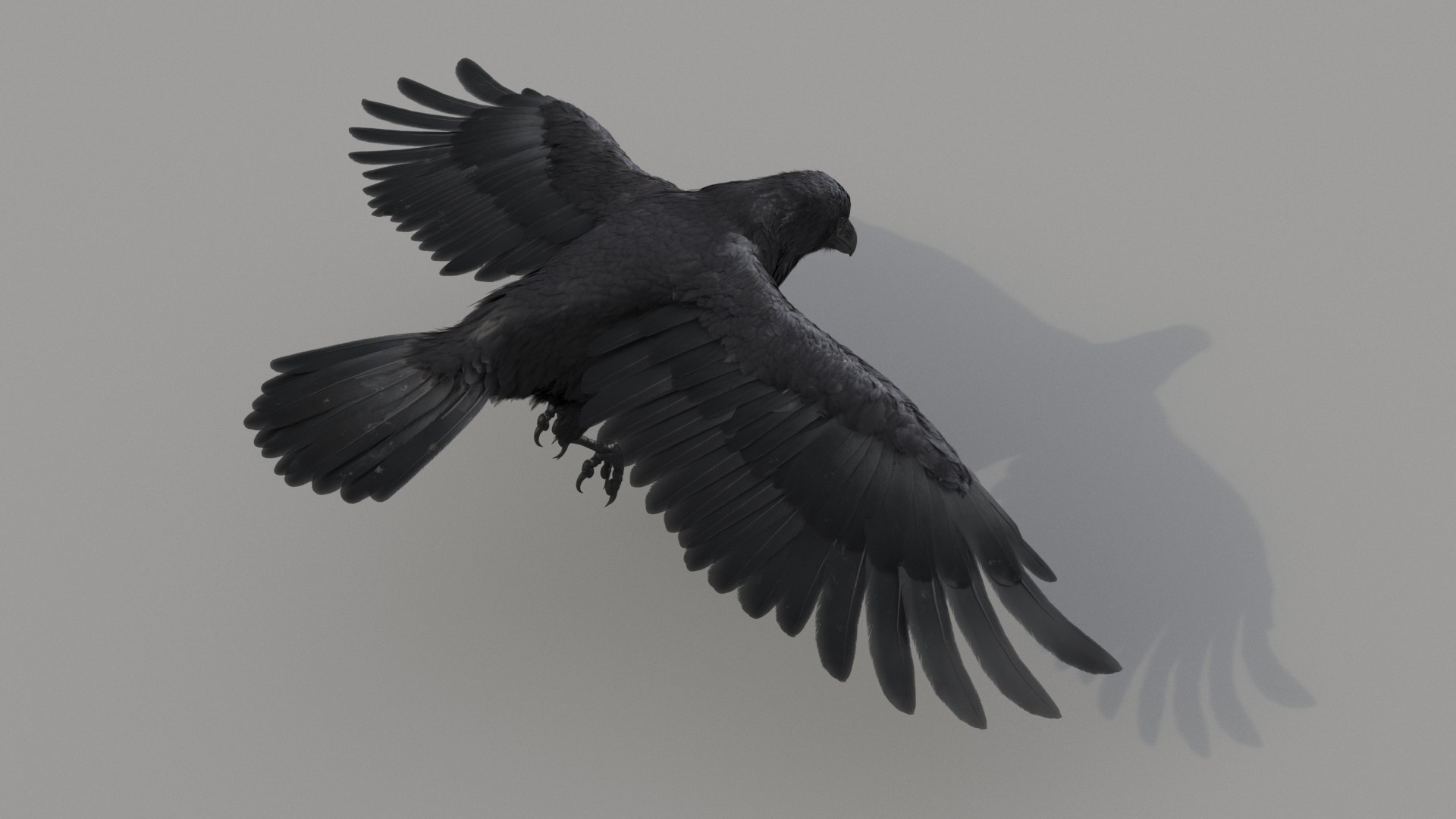 Raven Animated 3D Model - TurboSquid 1830681