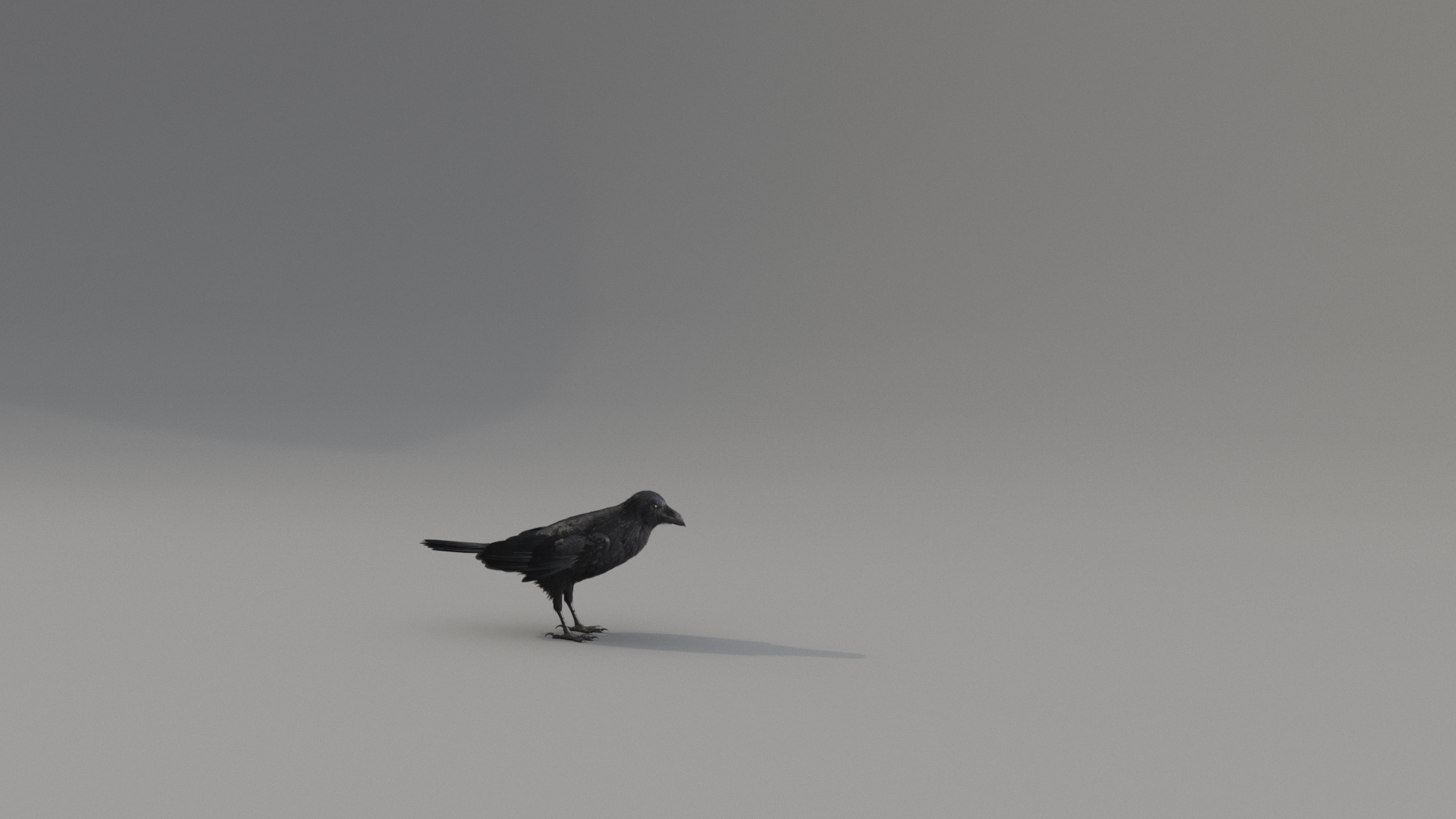 Raven Animated 3D Model - TurboSquid 1830681