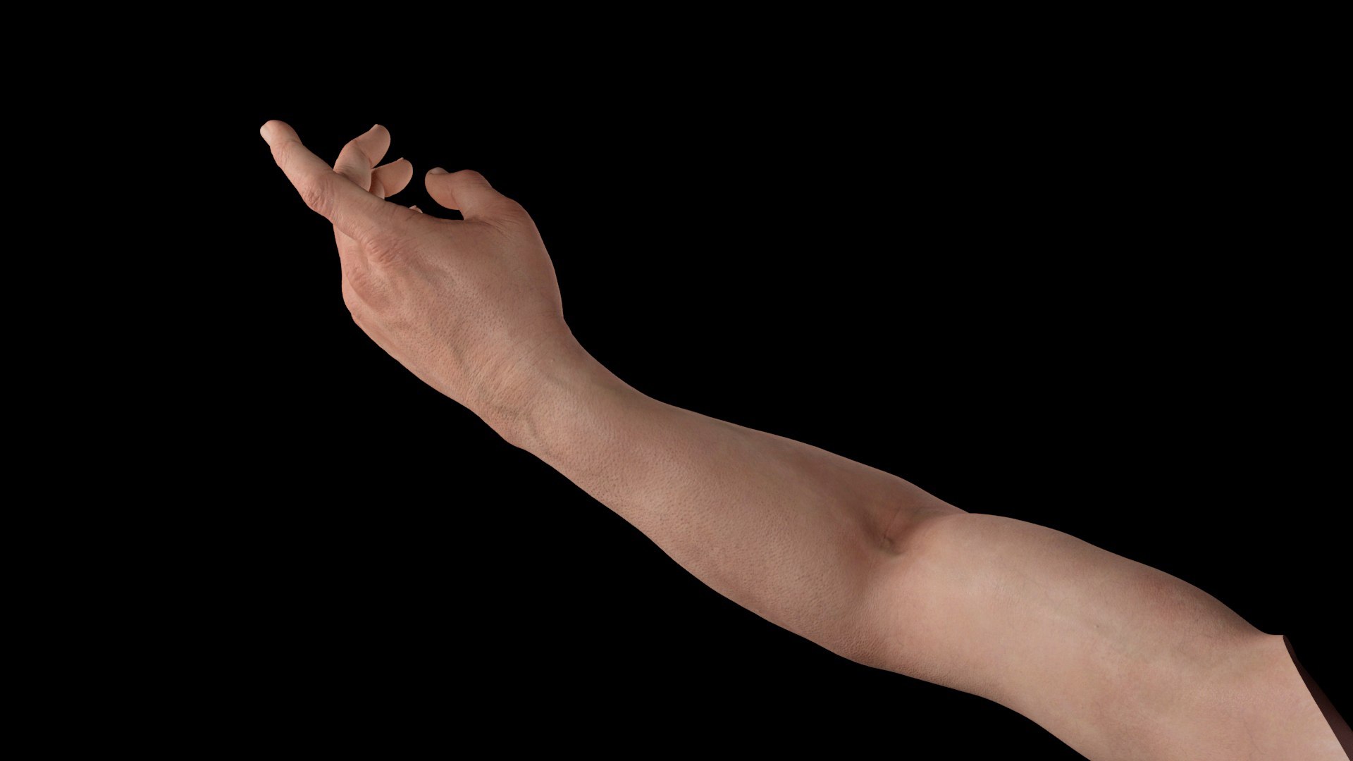 Hand Rigged 3D - TurboSquid 1260108