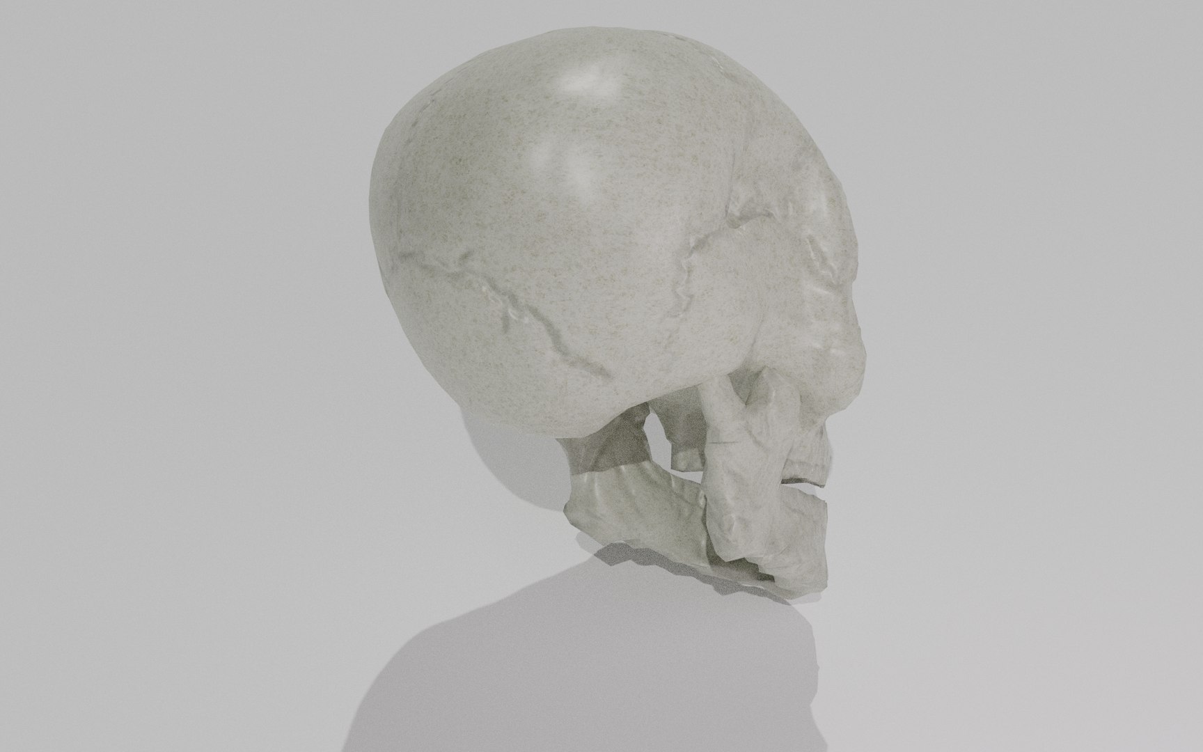 Skull Low-poly PBR 3D - TurboSquid 1798955