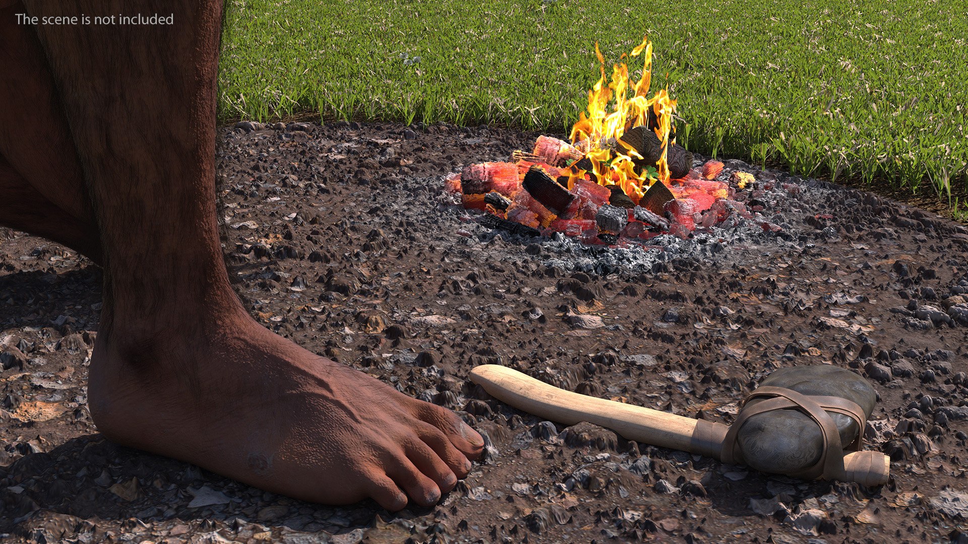 3D Model Homo Erectus By Bonfire Fur - TurboSquid 2170141