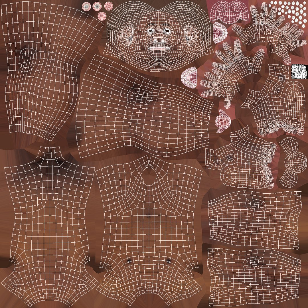 3D Model Homo Erectus By Bonfire Fur - TurboSquid 2170141