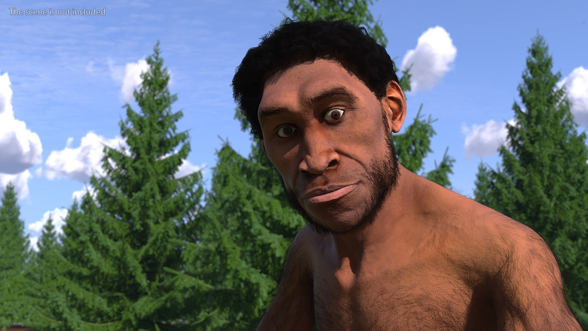 3D Model Homo Erectus By Bonfire Fur - TurboSquid 2170141