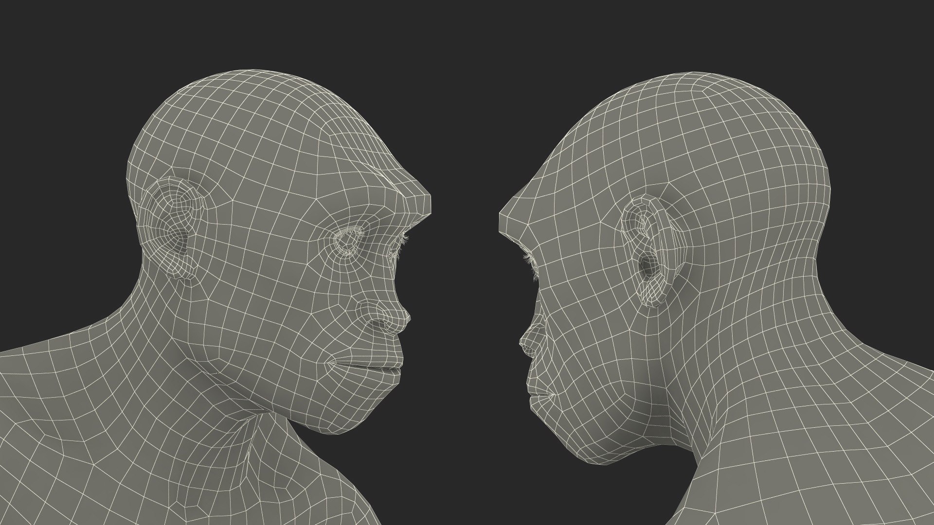 3D Model Homo Erectus By Bonfire Fur - TurboSquid 2170141