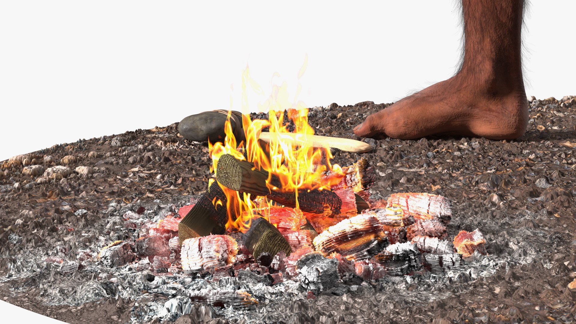 3D Model Homo Erectus By Bonfire Fur - TurboSquid 2170141