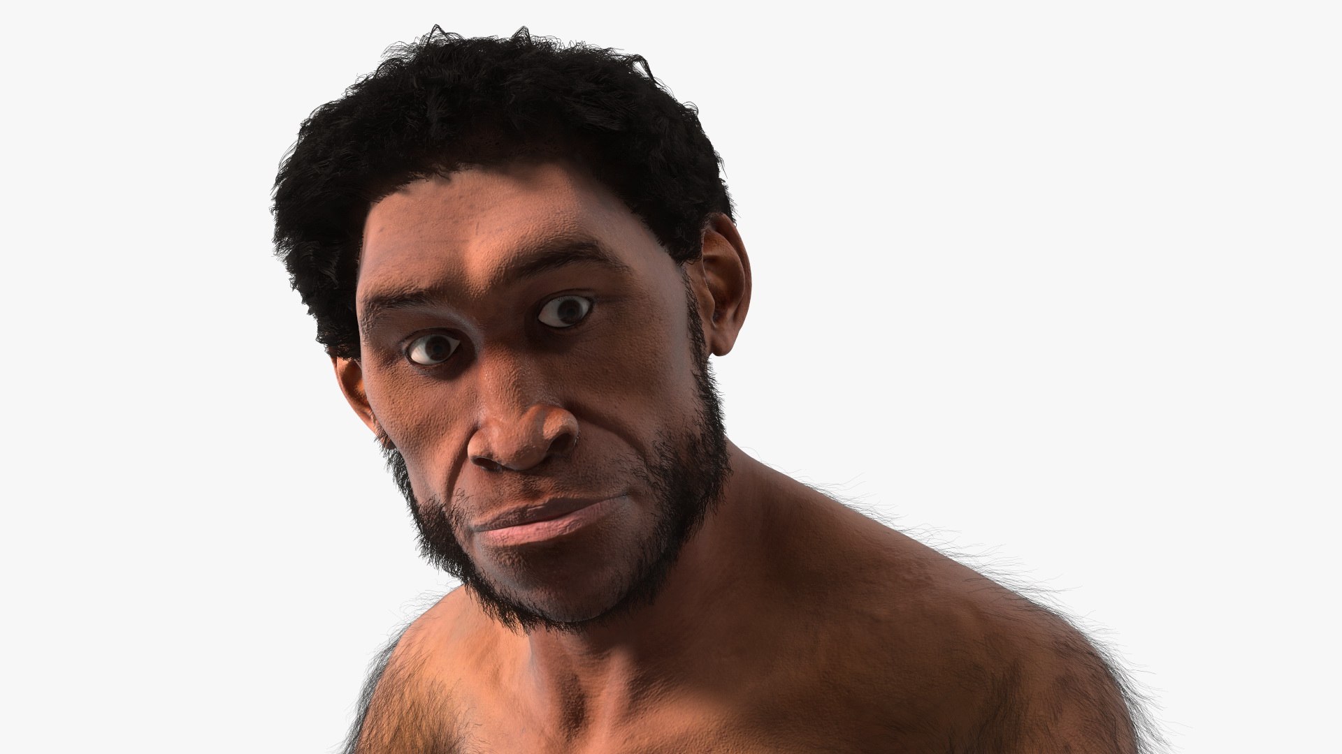 3D Model Homo Erectus By Bonfire Fur - TurboSquid 2170141