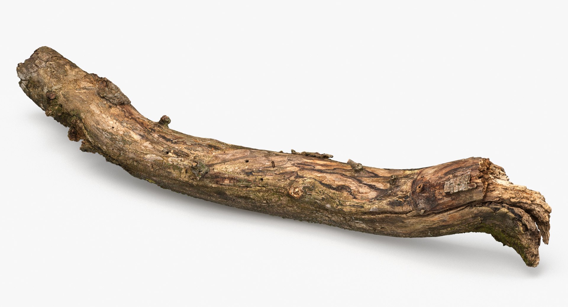 3D Broken Branch 01 Model - TurboSquid 2131696