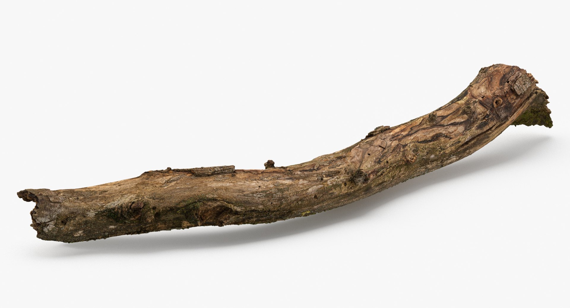 3D Broken Branch 01 Model - TurboSquid 2131696