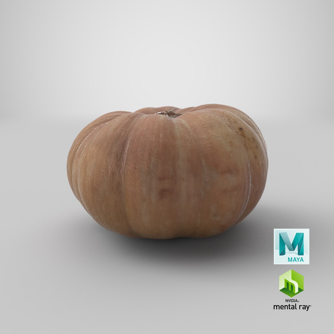 3D pumpkin food - TurboSquid 1467271