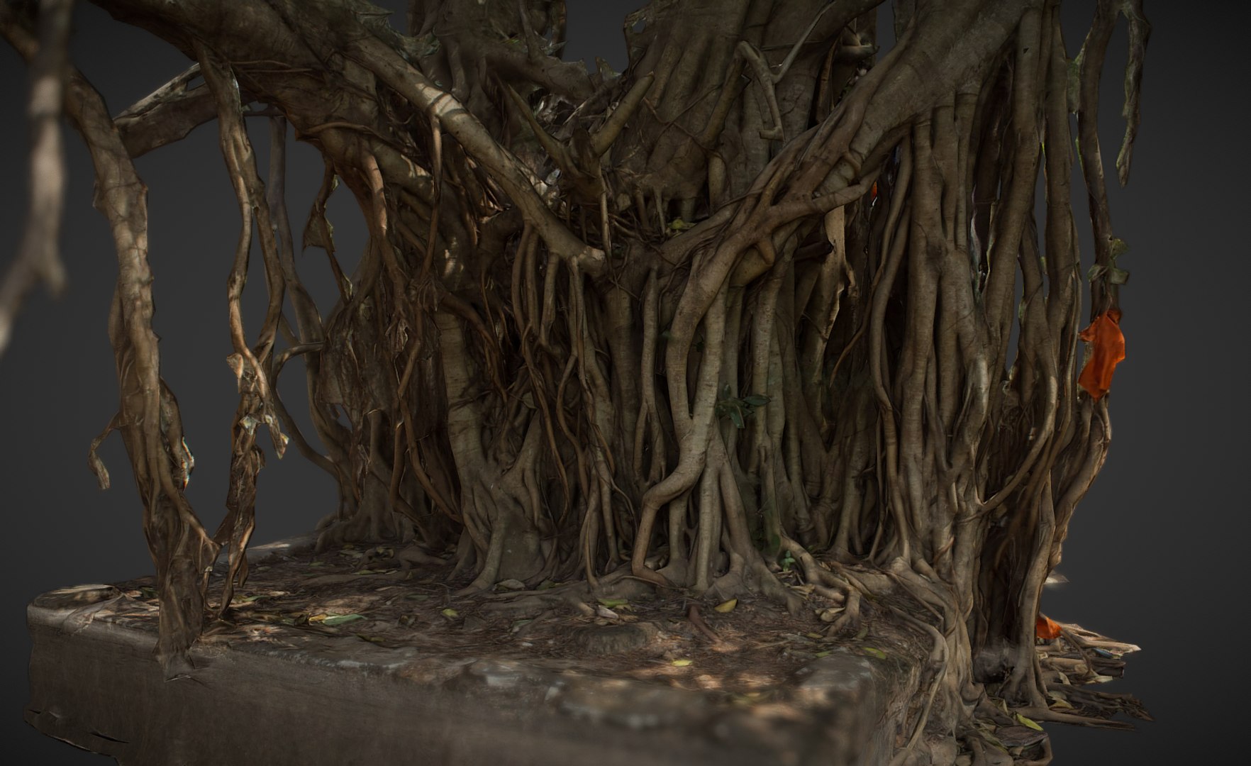 3D Scanned Banyan Tree Roots - TurboSquid 1428215