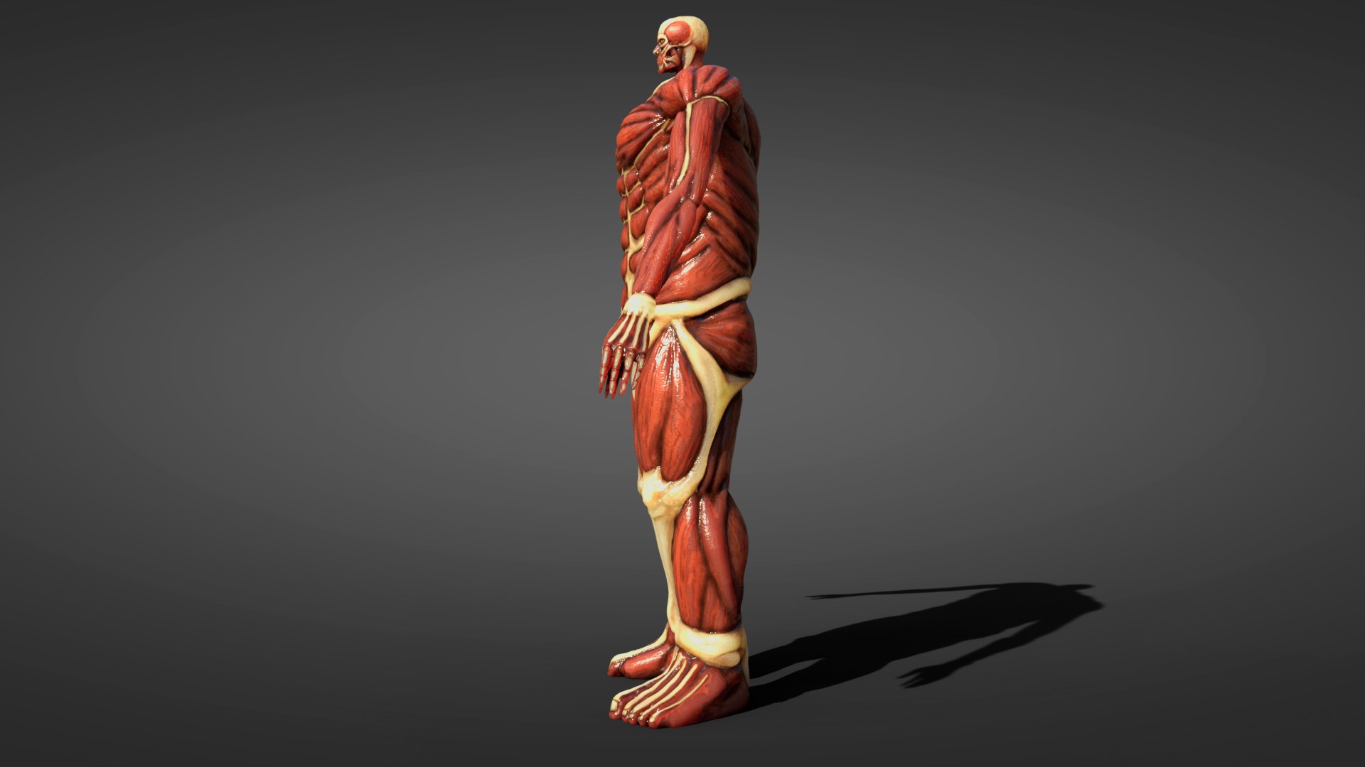 Colossal Titan 3D Model - TurboSquid 1890762