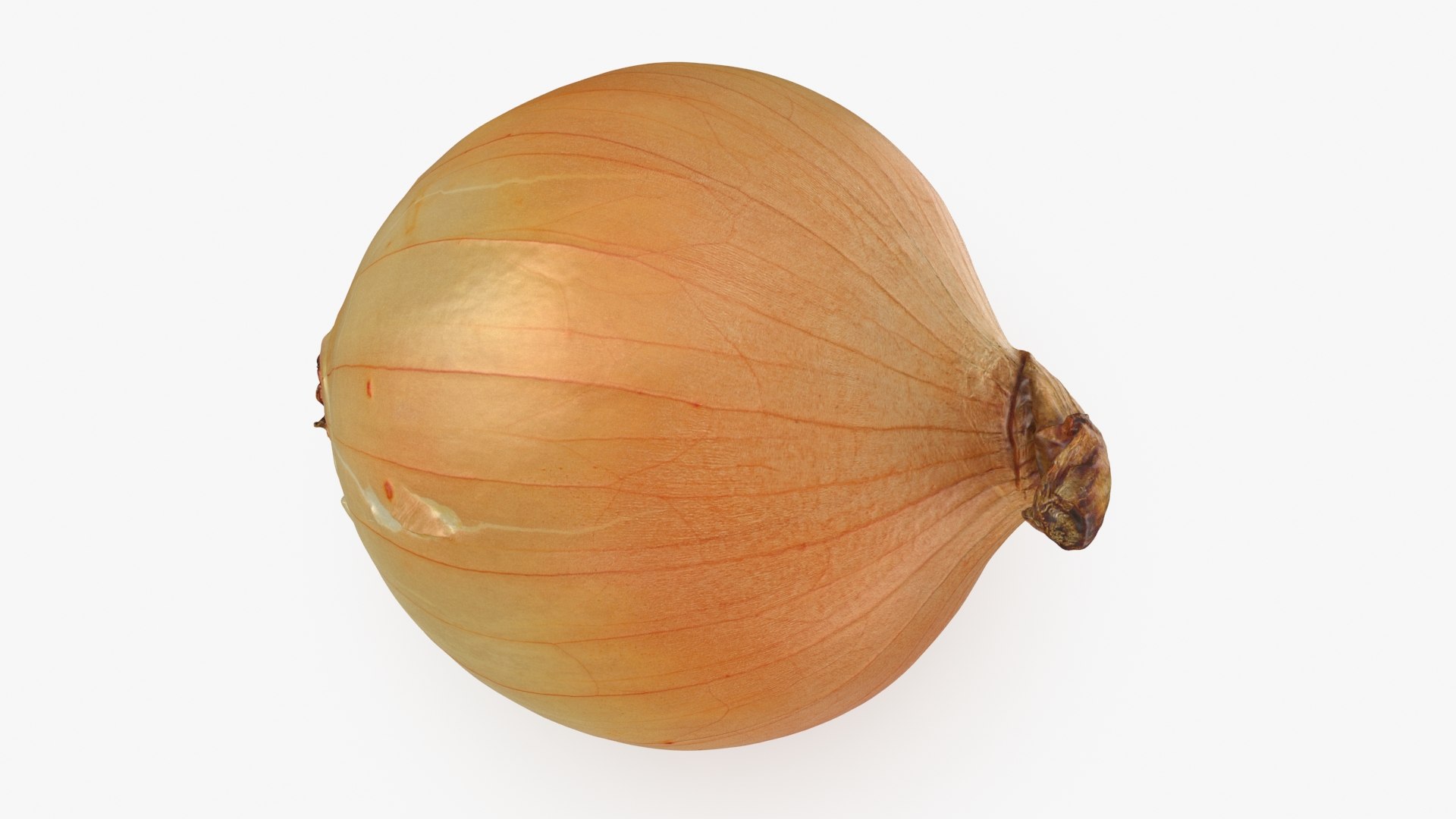 3D Model Yellow Onion 01 - TurboSquid 2246054