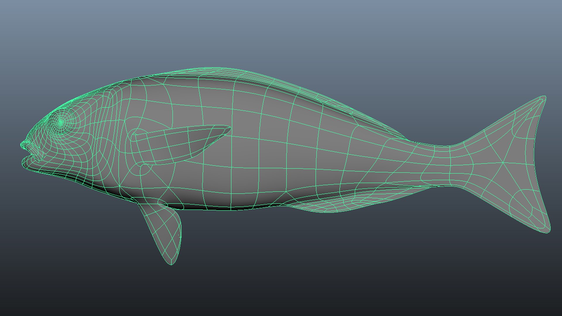 3D Ocean Whitefish Model - TurboSquid 1743873