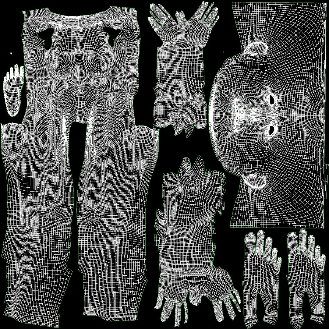 X-ray Skeleton Xray Body Human Obj