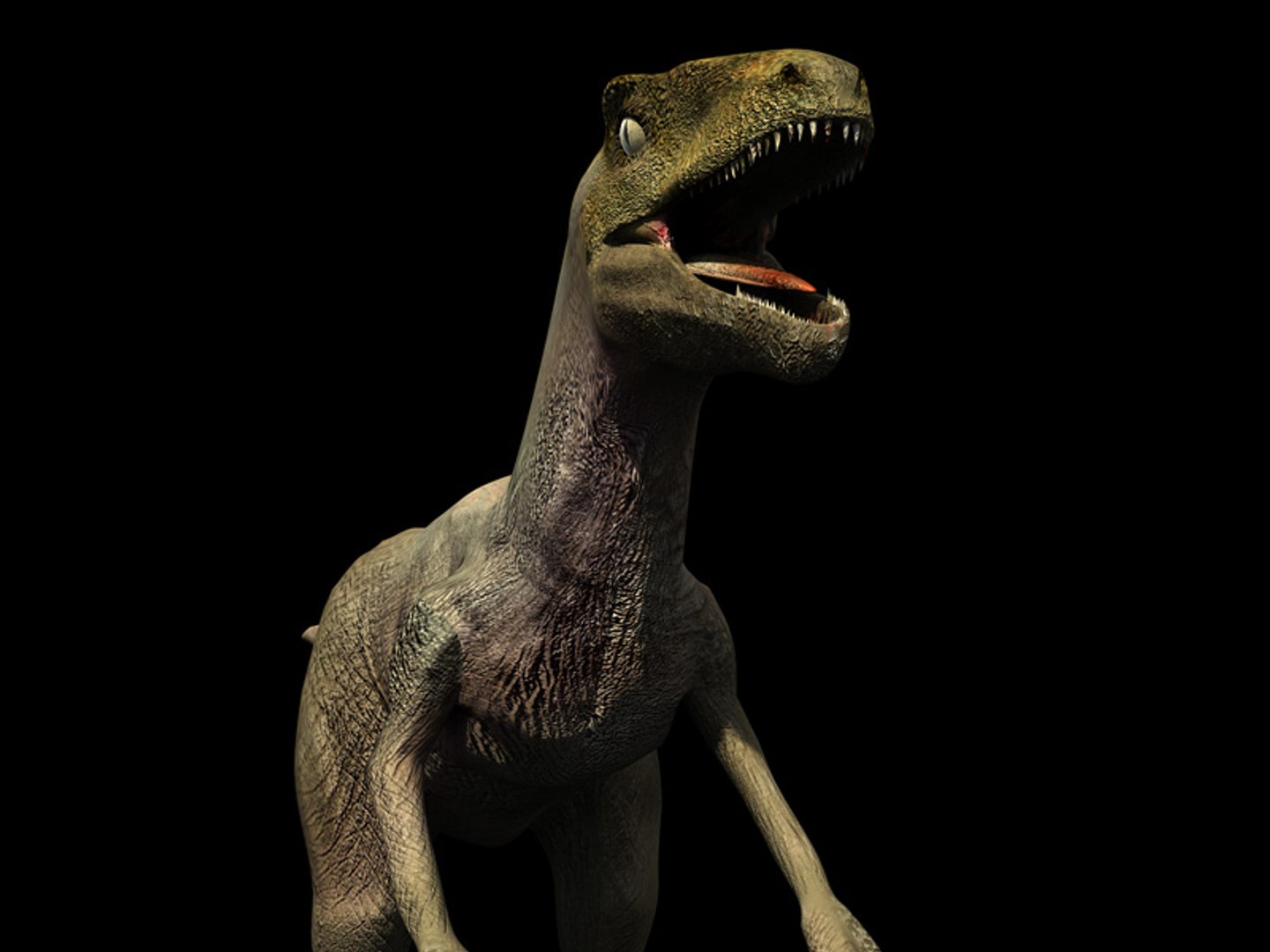 3d Velociraptor Raptor